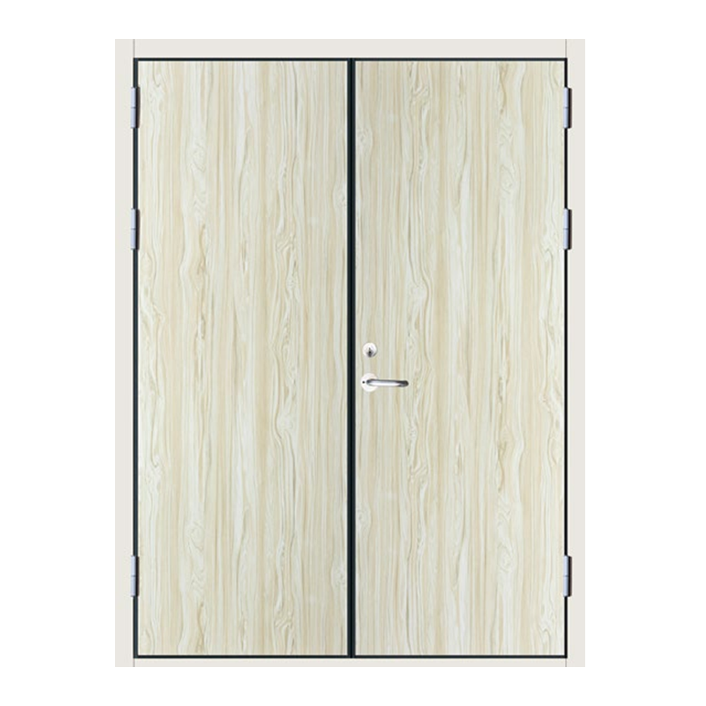 Fire Fighting Access Metal Double Leaf Custom 1 Hour Fire Proof Door