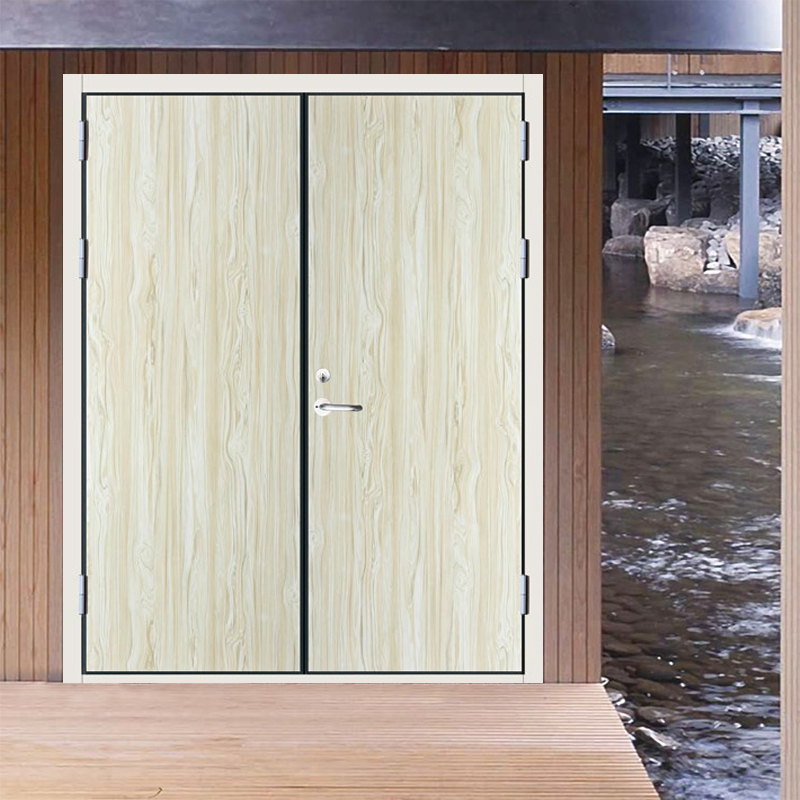 Fire Fighting Access Metal Double Leaf Custom 1 Hour Fire Proof Door