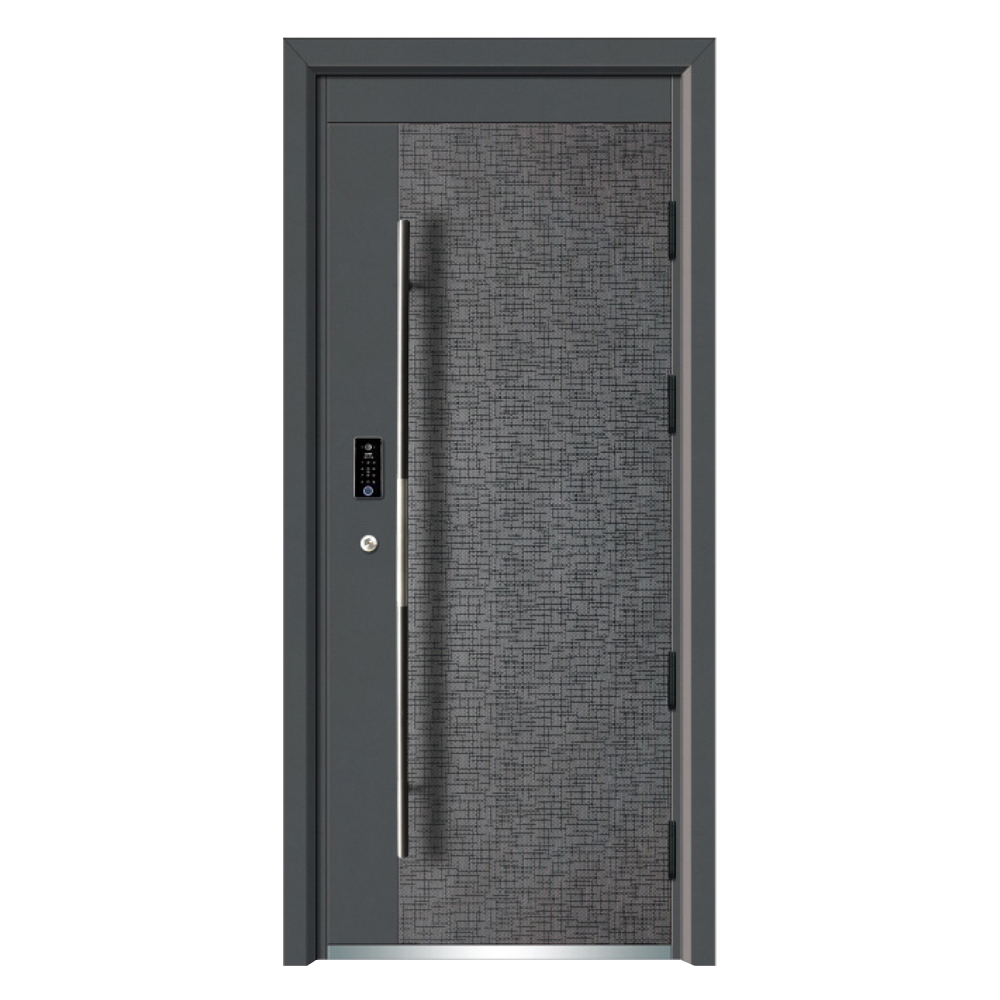 Stainless Inserts Right-Hand Inswing Single Modern Gray Painted Front ...