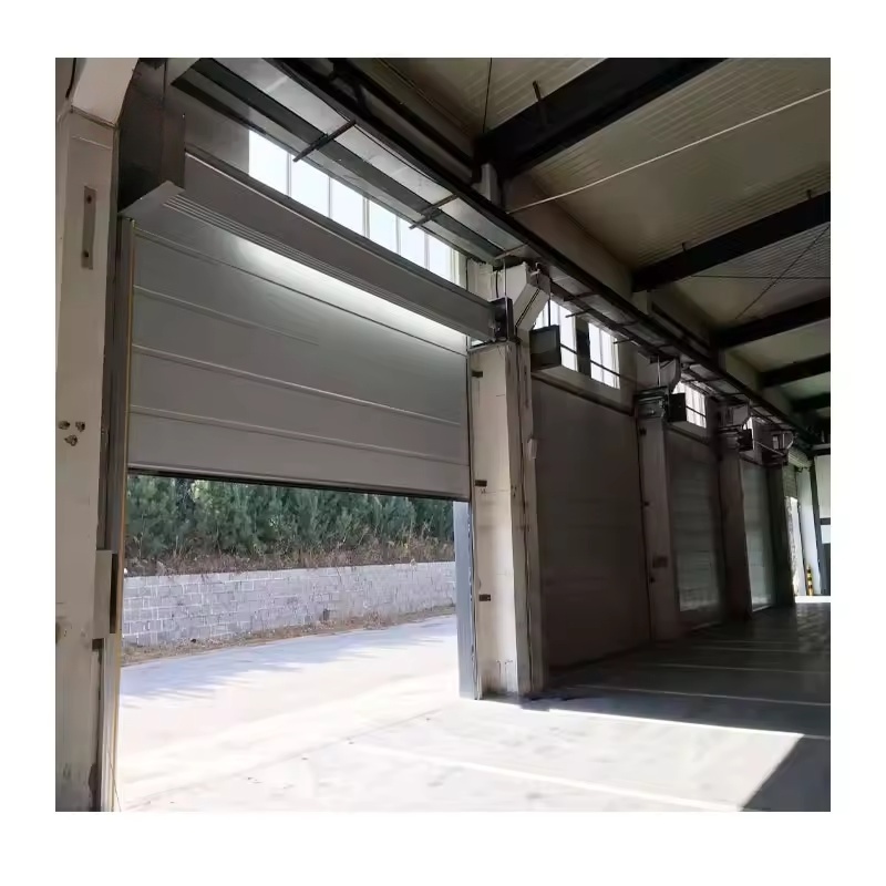Portes sectionnelles industrielles à enroulement automatique pour ...
