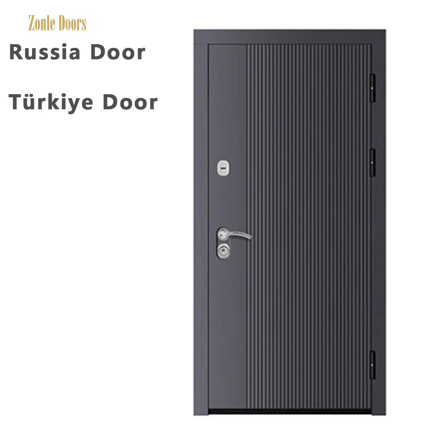 Porte d'entrée de sécurité en aluminium, design minimaliste moderne ...