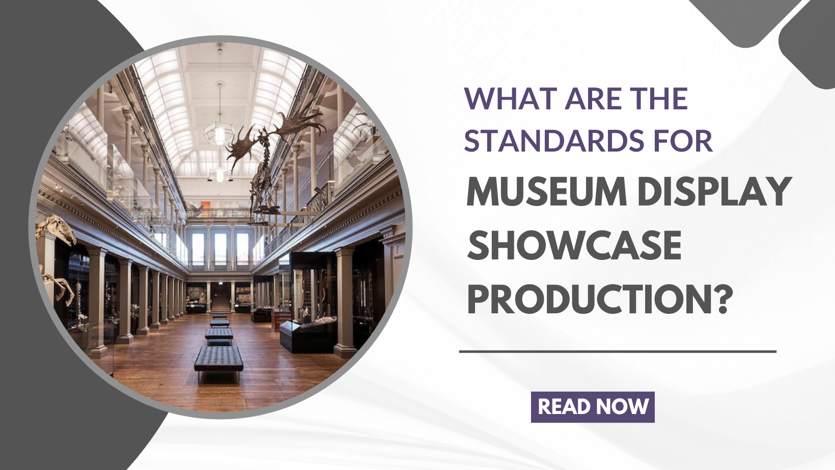 What Are the Standards for Museum Display Showcase Production? | DG ...