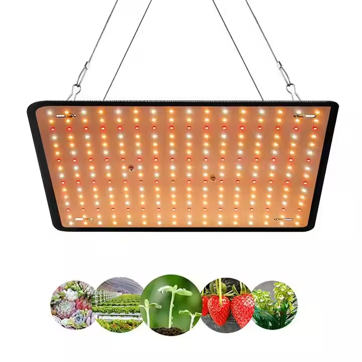 Full Spectrum Plant Growth LED Quantum Panel Light for Hanging ...