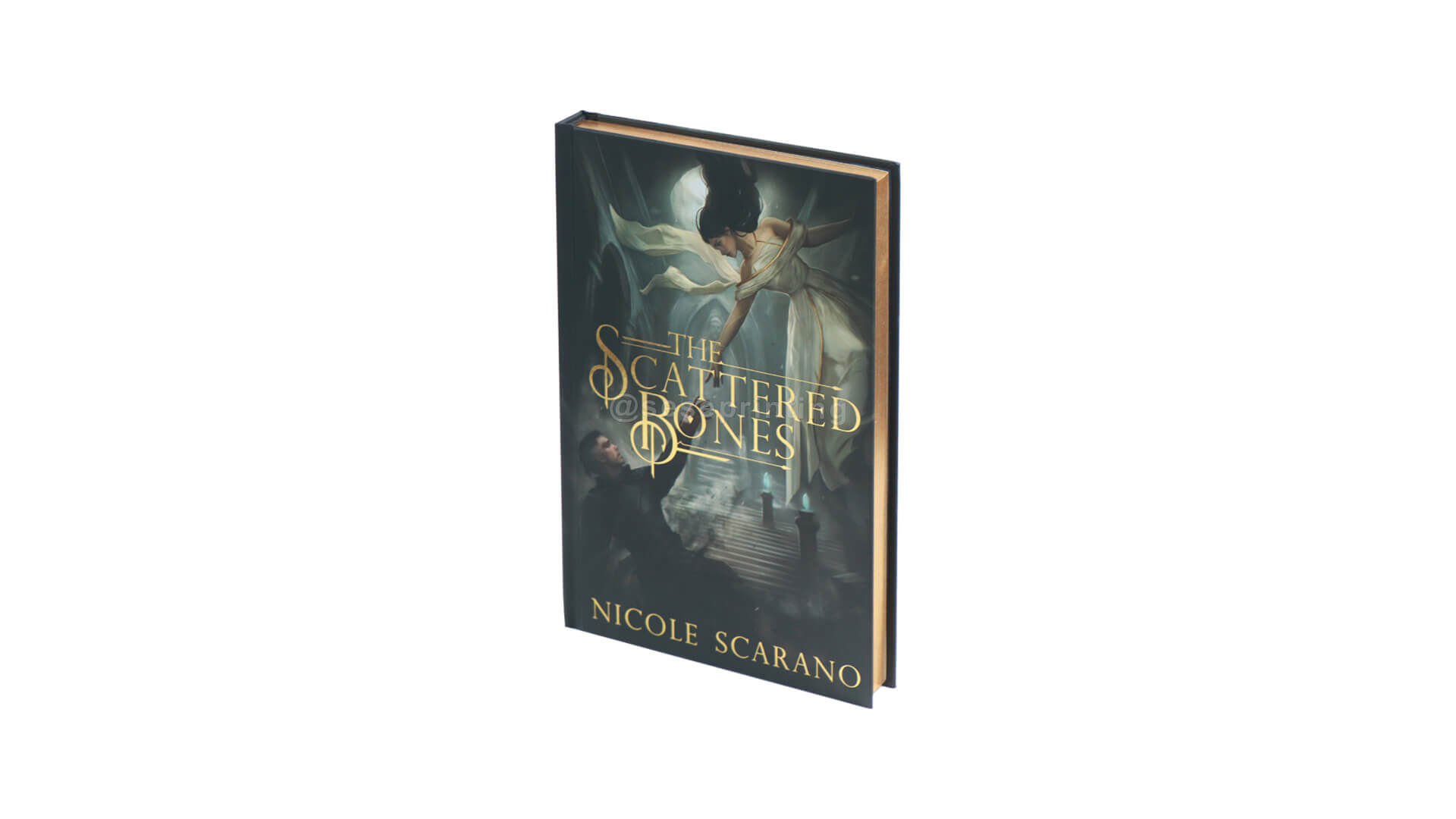 Fiction Novel with Endpapers, Sprayed Edges, Spot UV, and Slipcase ...