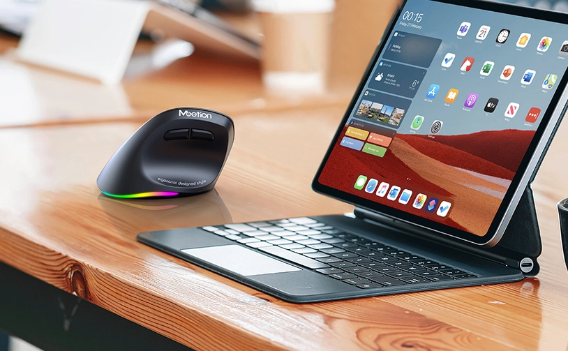 Exploring the Differences of Right-Handed and Left-Handed Mice