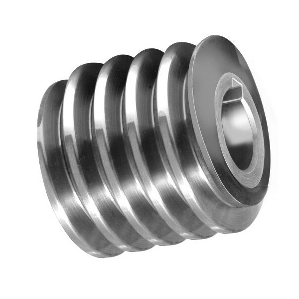 Precision Custom Worm Gear Shaft, Worm Gear Screw Shaft, Long Worm Gear ...