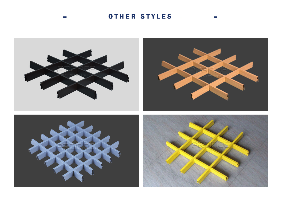 Grid Ceiling - PRANCE