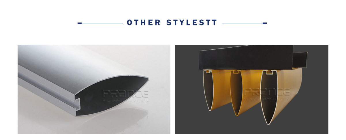 Bullet Baffle - PRANCE