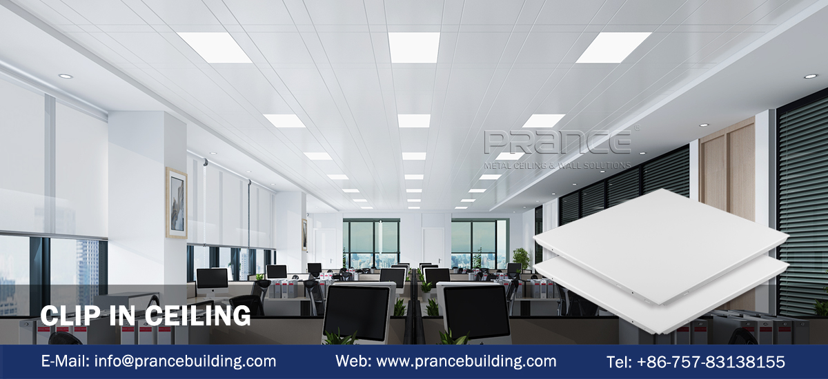 Clip in Ceiling - PRANCE