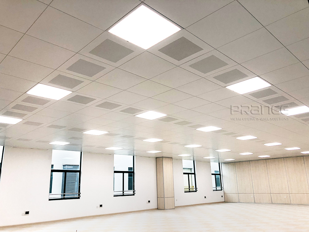 Which Materials Are Used for Office Ceilings? - PRANCE