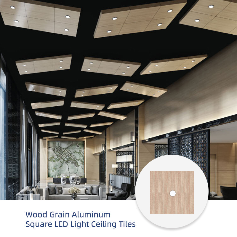 Aluminum Ceiling Manufacturer | PRANCE