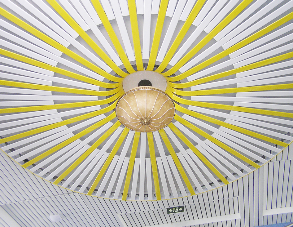 Metal Plank Ceiling Manufacturer | PRANCE