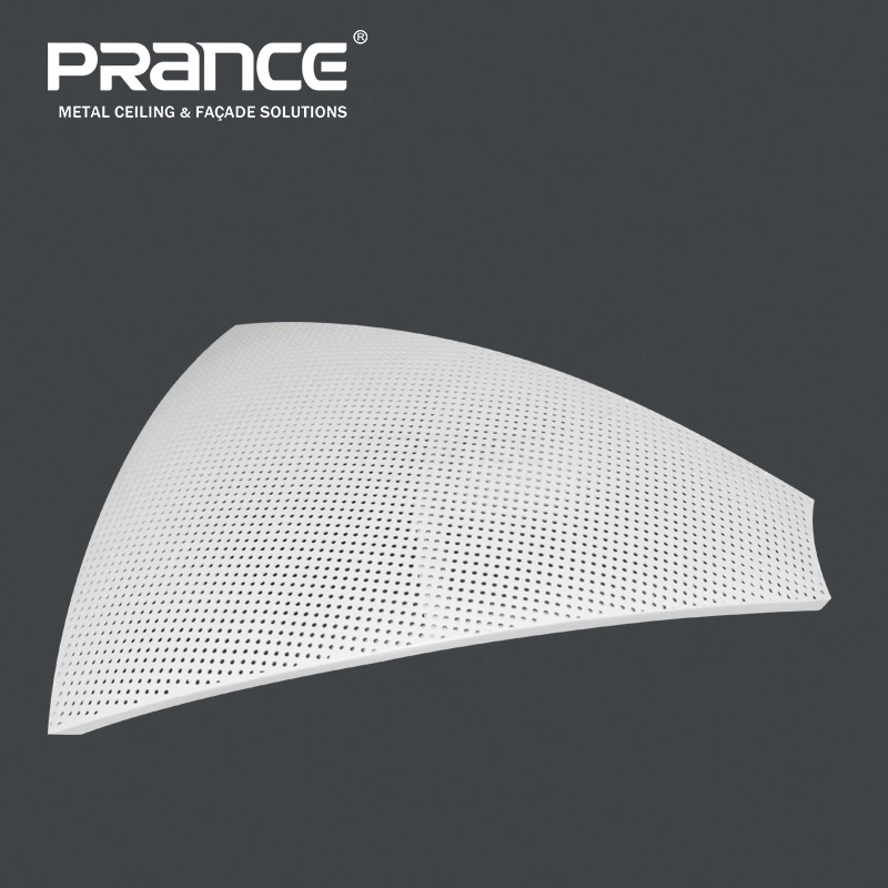 Hyperbolic Solid Panel - PRANCE
