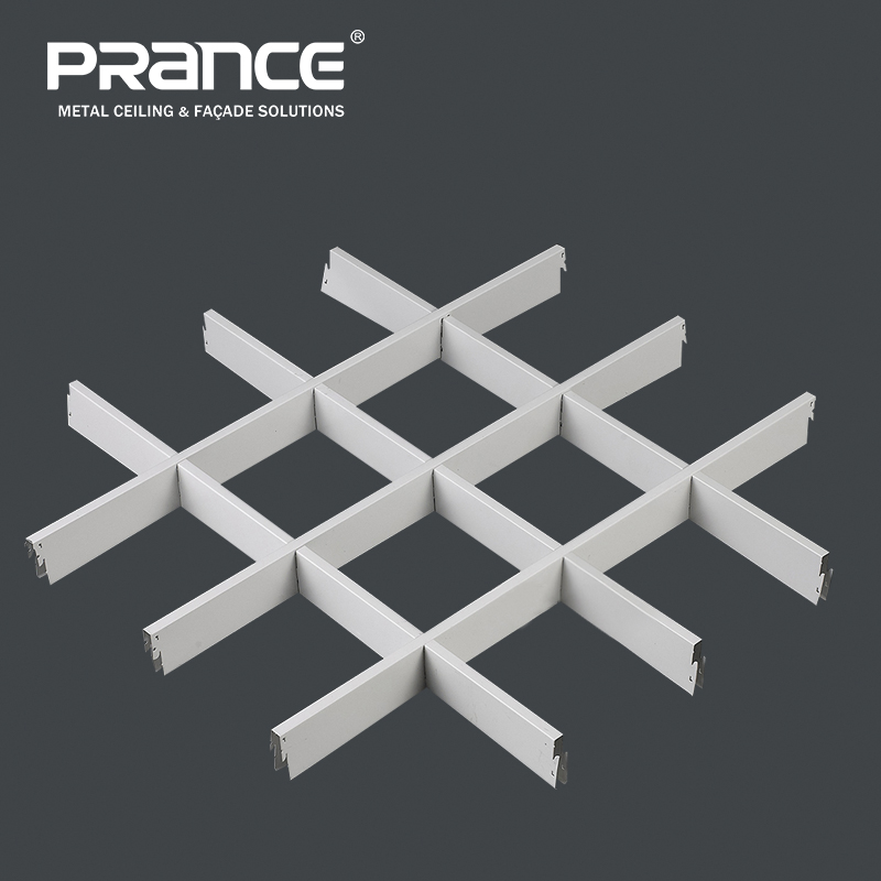 Grid Ceiling - PRANCE