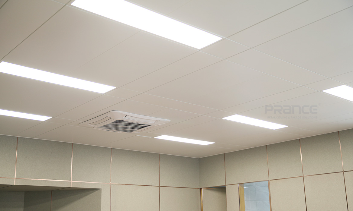 Custom Sky-One Aluminium Combined Ceilings System Company - PRANCE