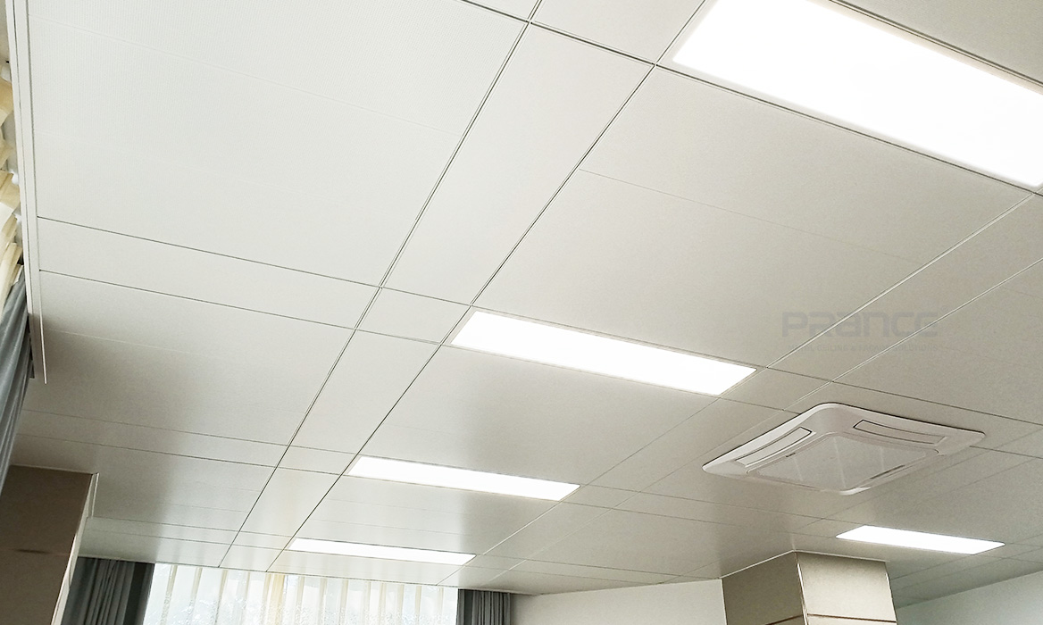 Custom Sky-One Aluminium Combined Ceilings System Company - PRANCE