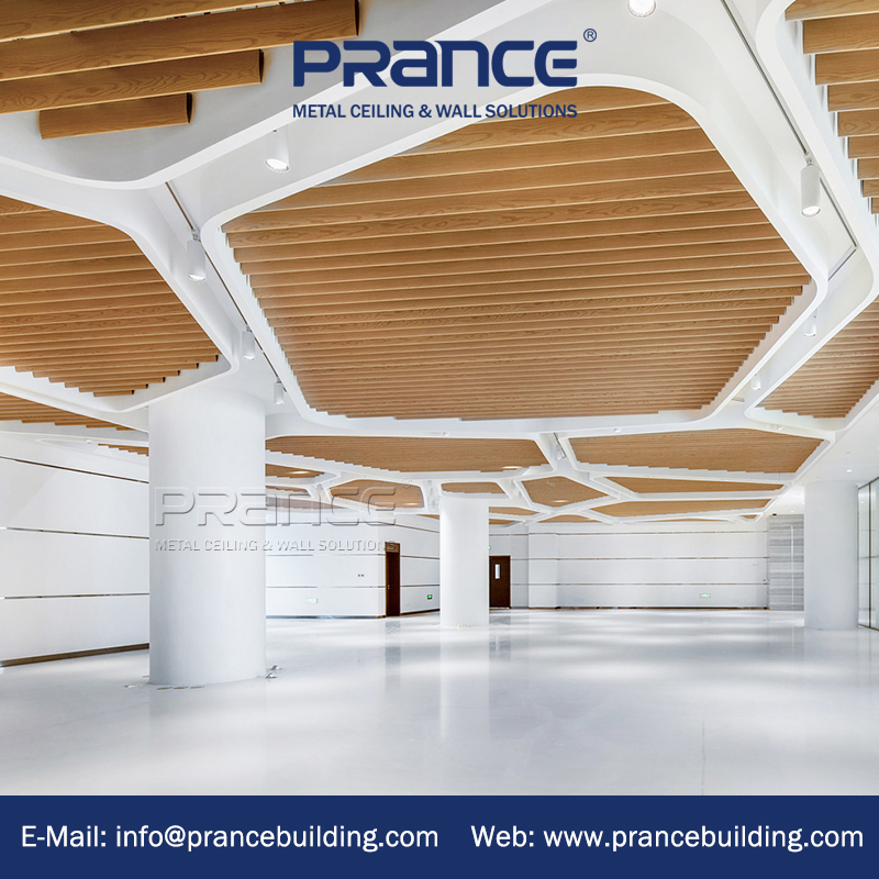 Modern Suspended Ceiling | PRANCE