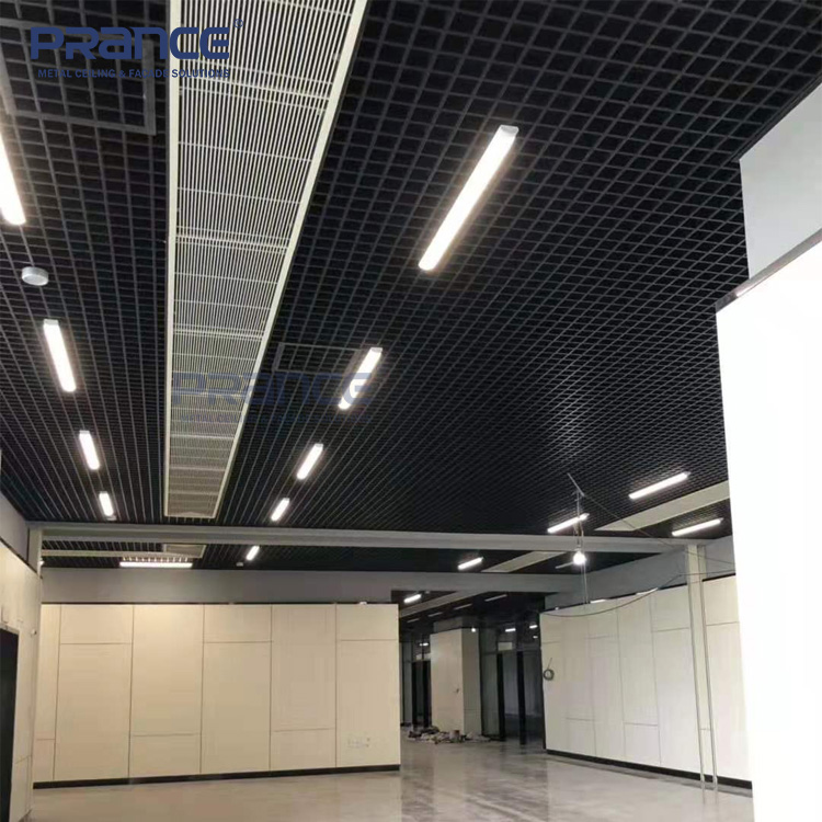 6 Reasons for a Collapsed Ceiling & How to Prevent It?