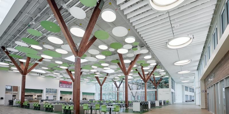Techos en las escuelas: diseño de mejores entornos de aprendizaje