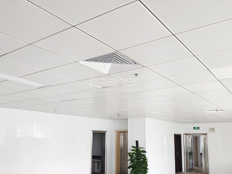 Custom Aluminium Panel & Drop Ceiling Manufacturer - PRANCE