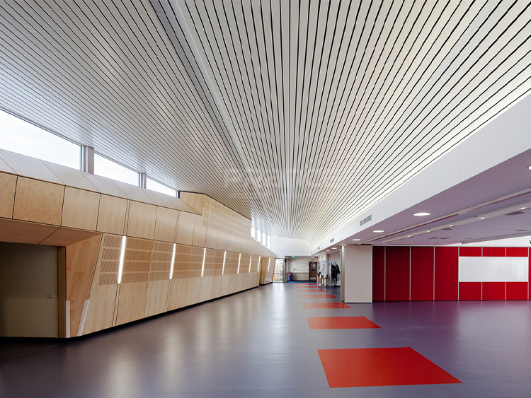 Piastrelle del soffitto isolate | Prance