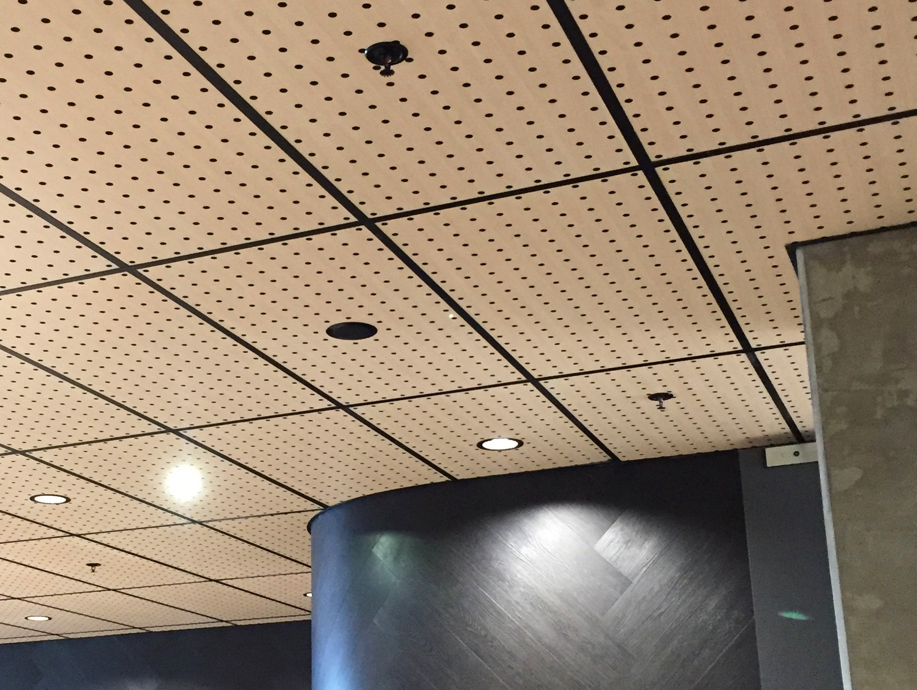 Best Acoustical Ceiling Tiles for Office Quiet Zones