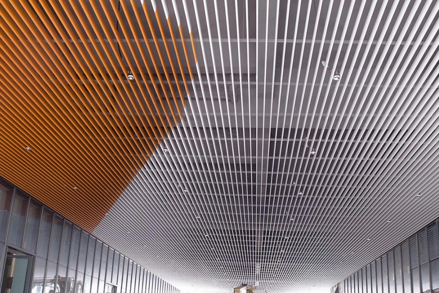 School Ceiling | PRANCE