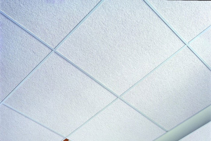Sheetrock Ceiling Tile | PRANCE