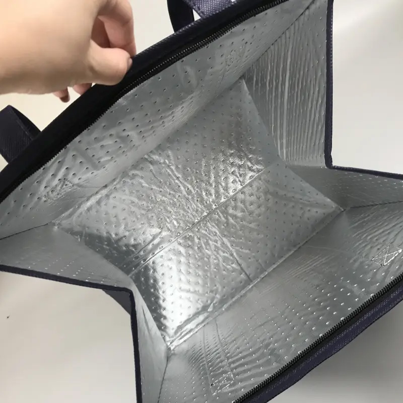 Non Woven Insulation Cooler Bag Wholesale - longrichbar