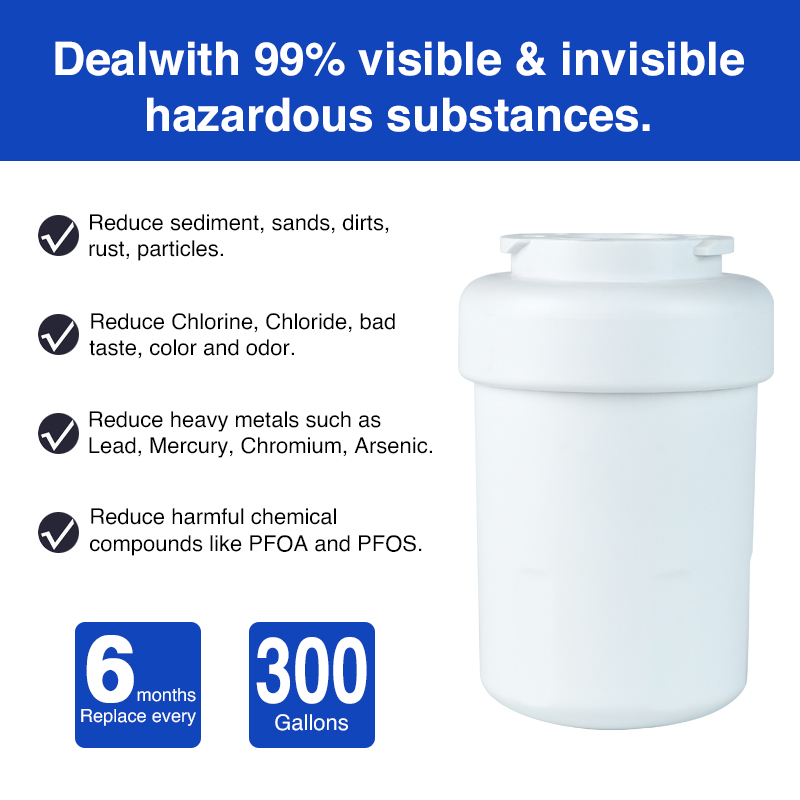 Clean & Fresh: Refrigerator Filters for Pure Water and Ice - Bluetech