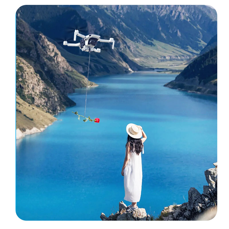 STARTRC AirDrop System for DJI Mini 2 Series and Mini Series Drone ...