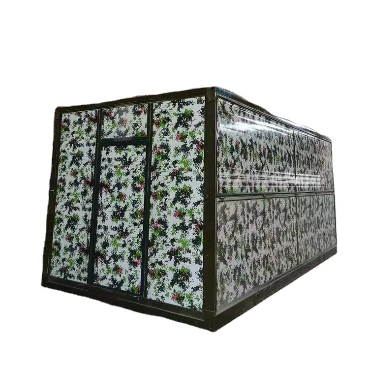 Revolutionizing Housing: the Rise of Foldable Container Homes - DXH