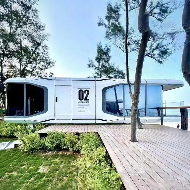 Modern Space Capsule Style Smart Home Ai Voice Home Complete House ...