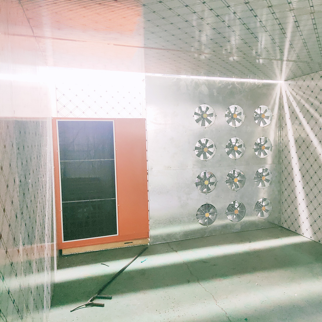 Drying Grapes: an Essential Guide to Grape Dryers and Their Benefits - BEAR