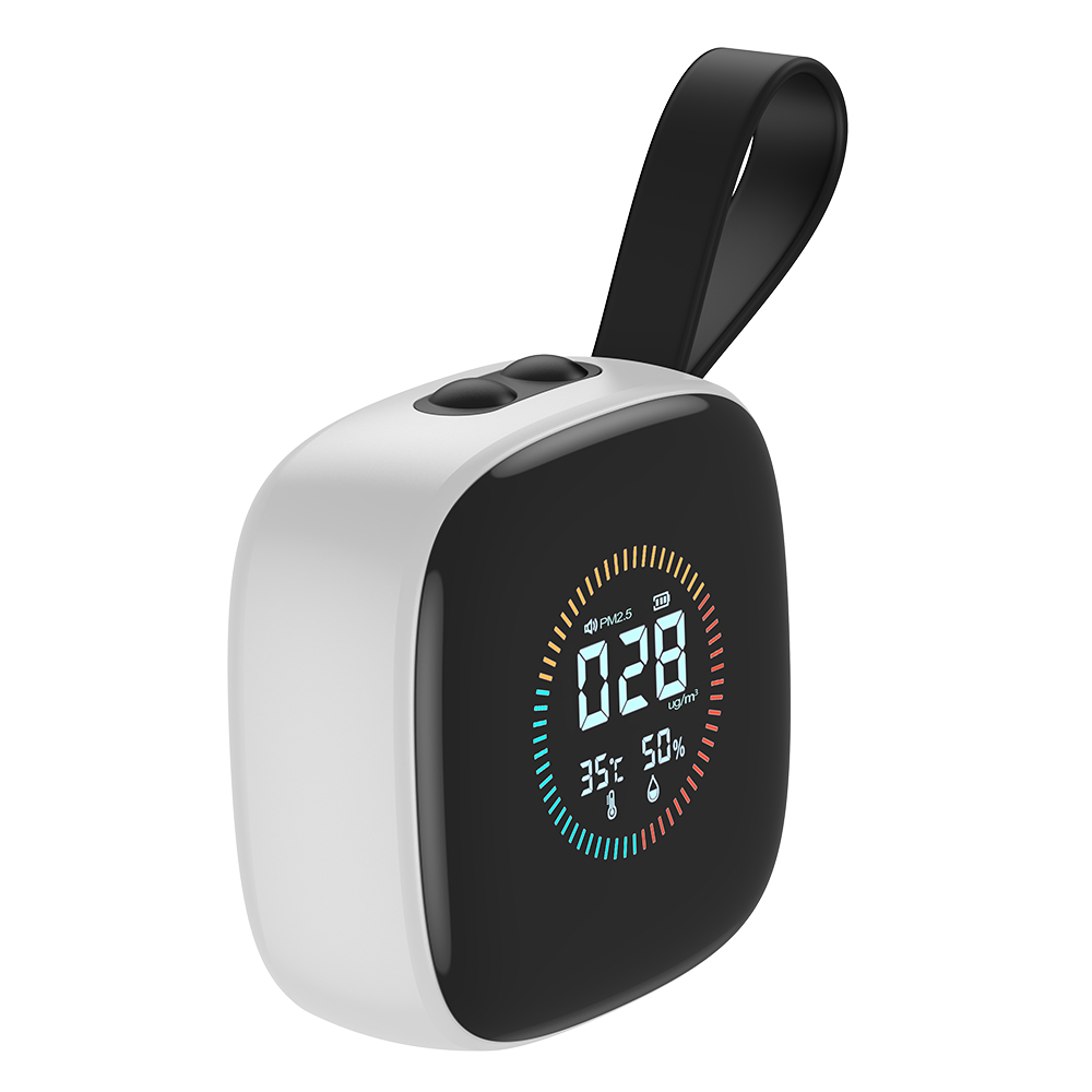 Dienmern DM1210A Mini PM2.5 detector equipped with laser sensor for ...