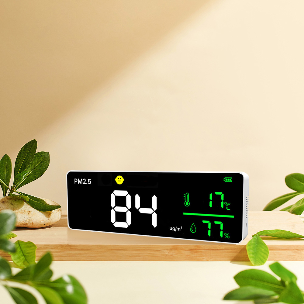 Dienmern DM1306E Wall-mounted PM2.5 monitor for real-time indoor air quality detection