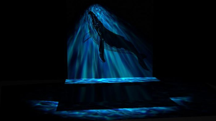 The Various Applications of Water Ripple Projector | Noparde