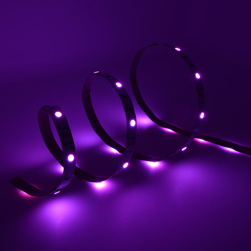 5050 LED Strip Lights 12V With 30 RGB Color Options | SENSELED