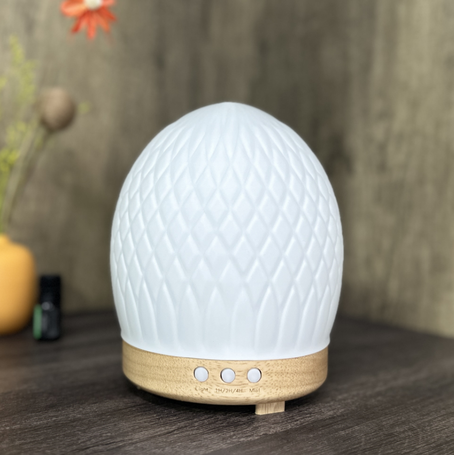 Alternate Dual Threaded Glass Cover Aroma Diffuser Essential Oil Home ...