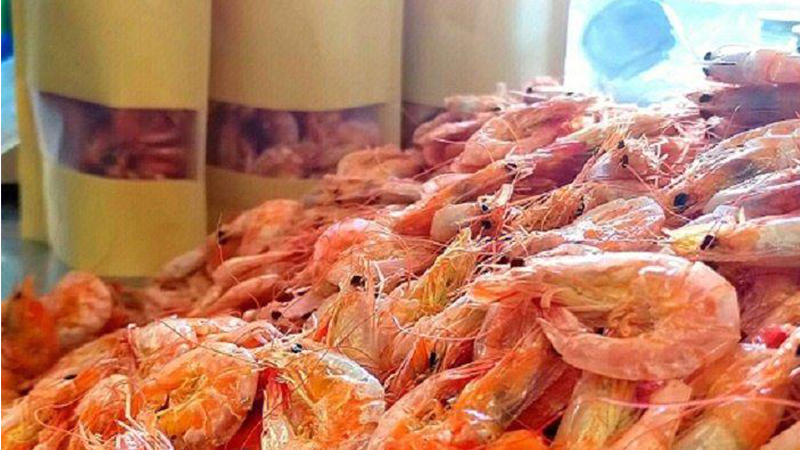 Shrimp Dryer Machine - Jimu