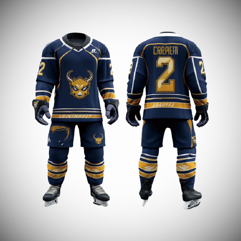 Custom Hockey Jerseys with Personalized Colors,team Logos, Names and ...