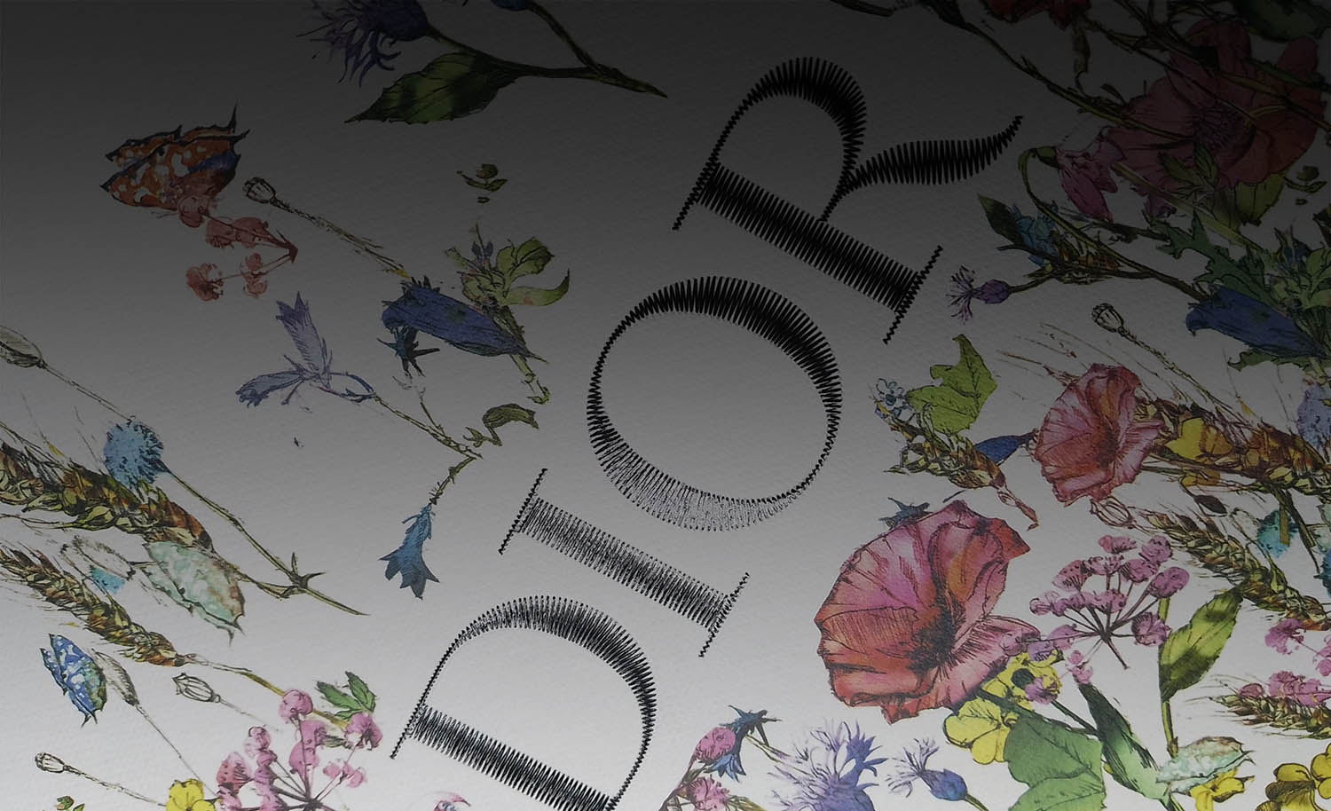 Dior Packaging Customization | Yingmei