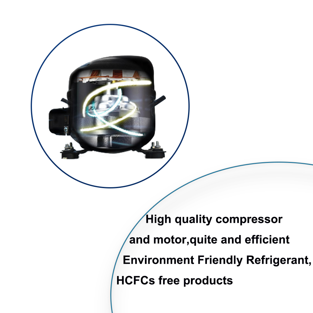 High Quality Coca Cola Cooler with ISO Certified