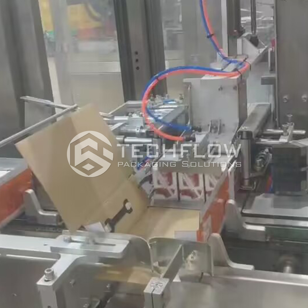 Hot Selling Automatic Side Loading Wrap Around Case Packer Supplier - Techflow Pack