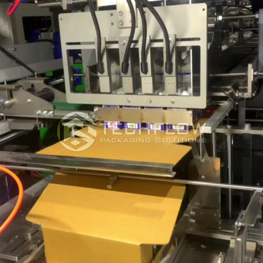 Cost-effective Automatic Dropping Type Wrap Around Case Packer | Techflow Pack