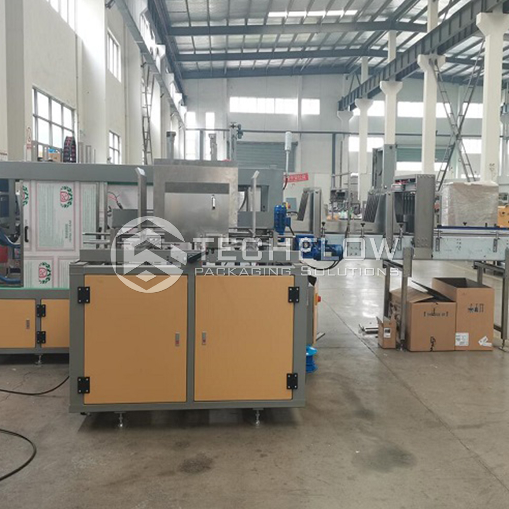 Cost-effective Automatic Dropping Type Wrap Around Case Packer | Techflow Pack