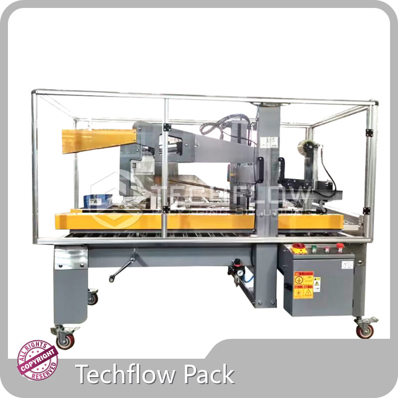 Semi Automatic Case Erector by Techflow Pack - Techflow Pack