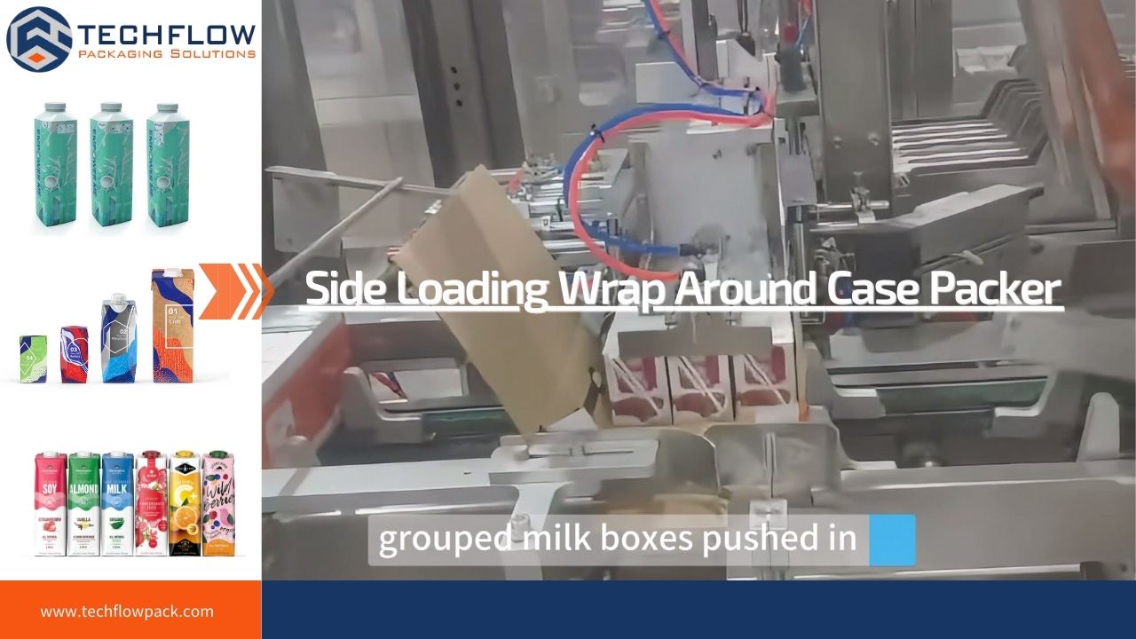 Hot Selling Automatic Side Loading Wrap Around Case Packer Supplier - Techflow Pack