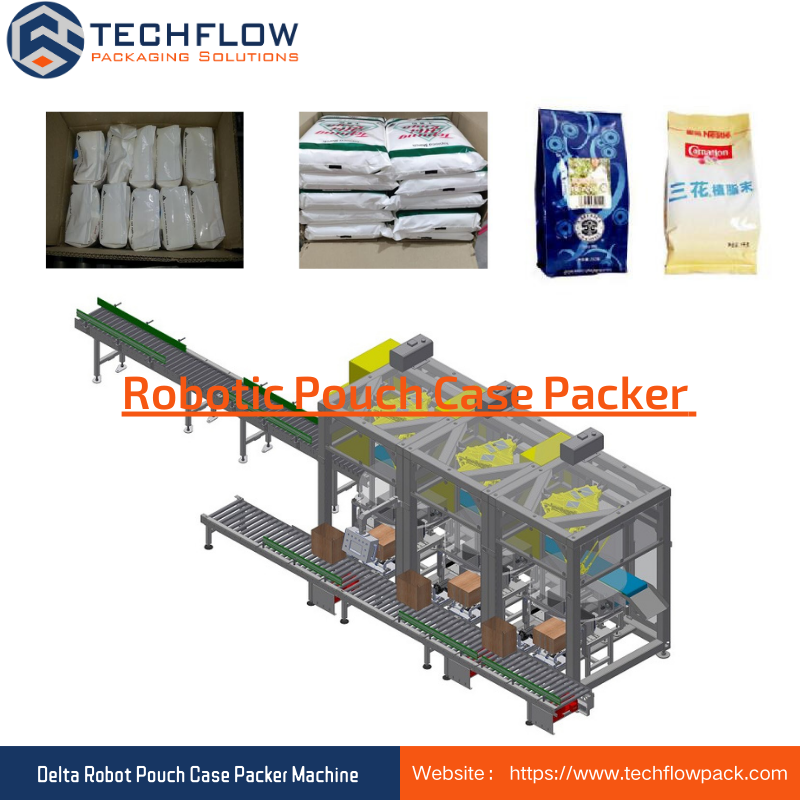 Automatic Affordable Robotic Pouch Case Packer for FFS Pouch Packaging Line | Techflow Pack