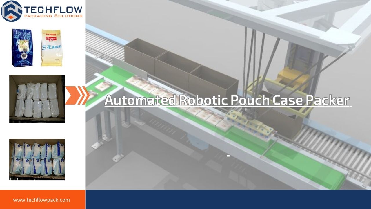 Automatic Affordable Robotic Pouch Case Packer for FFS Pouch Packaging Line | Techflow Pack